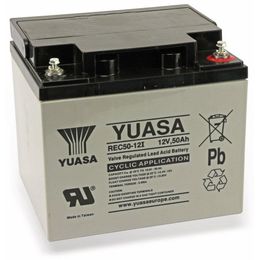 Yuasa Yuasa Blei-Akkumulator REC50-12