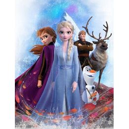 Wohndecke Disney Frozen Elsa Anna Kuscheldecke 130 x 170 cm