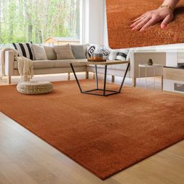Teppich Wohnzimmer Kurzflor Waschbar Weich Modernes Einfarbiges Muster 160x220 cm, Kupfer - Paco Home