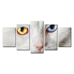 Bilderdepot24 Leinwandbild weiße Katze mit zwei Augenfarben