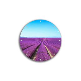 Wallario Sichtschutzzaunmatten Lavendelfeld unter blauem Himmel