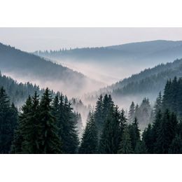 Wallarena Fototapete Wald im Nebel Berge 3D EFFEKT Vlies Tapete Wohnzimmer Schlafzimmer