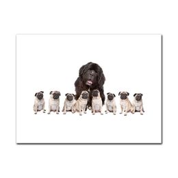 Bilderdepot24 Leinwandbild Grosser Hund mit kleinen Hunden