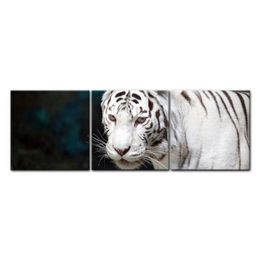 Bilderdepot24 Leinwandbild Weißer Tiger