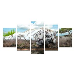Bilderdepot24 Leinwandbild White Tiger