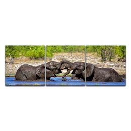 Bilderdepot24 Leinwandbild Elefanten im Wasserloch