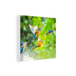 OneMillionCanvasses® OneMillionCanvasses® Leinwandbild Vögel