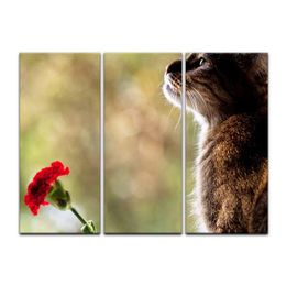 Bilderdepot24 Leinwandbild Katze und Blume
