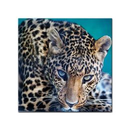 Bilderdepot24 Leinwandbild Leopard