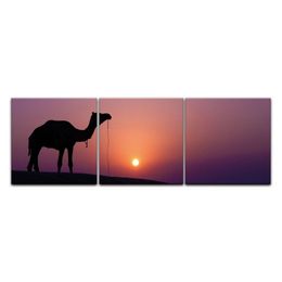 Bilderdepot24 Leinwandbild Kamel im Sonnenuntergang
