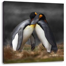 Pixxprint Leinwandbild Pinguine in der Antarktis