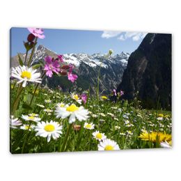 Pixxprint Leinwandbild Wunderschöne Blumen Alpenwiese