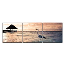 Bilderdepot24 Leinwandbild Tropischer Strand mit Reiher