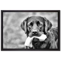 Pixxprint Leinwandbild schwarzer Labrador mit Spielzeug