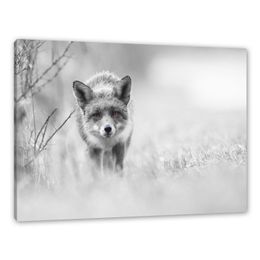 Pixxprint Leinwandbild hübscher schleichender Fuchs