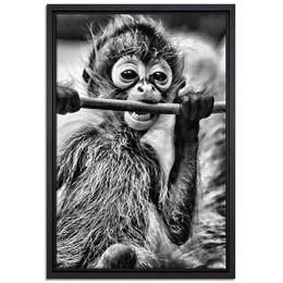 Pixxprint Leinwandbild kleines Affenbaby beim Essen