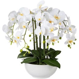 Kunstpflanze Orchidee, Creativ green, Höhe 54 cm, weiß