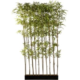 Künstliche Zimmerpflanze Bambusraumteiler Bambus, Creativ green, Höhe 200 cm, im Holzkasten, grün