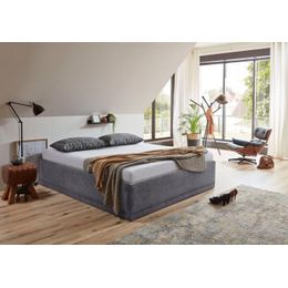 Westfalia Schlafkomfort Polsterbett Texel, Komforthöhe mit Zierkissen, Bettkasten bei Ausführung mit Matratze, grau