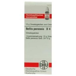 DHU-Arzneimittel BELLIS PERENNIS D 4 Globuli