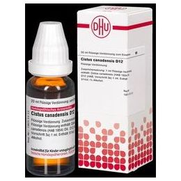 DHU-Arzneimittel CISTUS CANADENSIS D 12 Dilution