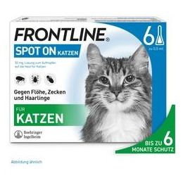 FRONTLINE SPOT-ON gegen Zecken und Flöhe für Katzen