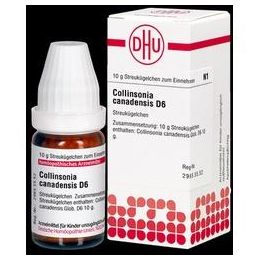 DHU-Arzneimittel COLLINSONIA CANADENSIS D 6 Globuli