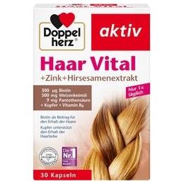 Queisser Doppelherz aktiv Haar Vital + Zink + Hirseextrakt