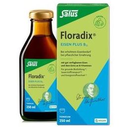 Salus Floradix Eisen Plus B12 Tonikum