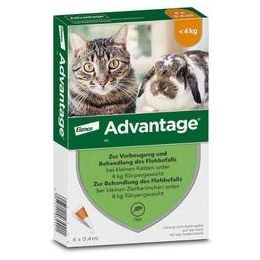 Advantage 40 mg für kleine Katzen und kleine Zierkaninchen
