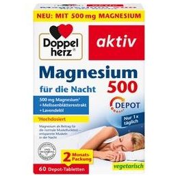 Queisser Doppelherz aktiv Magnesium 500 für die Nacht