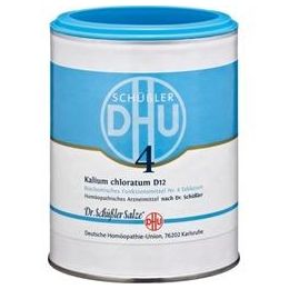 DHU-Arzneimittel DHU Schüssler-Salz Nr. 4 Kalium chloratum D 6