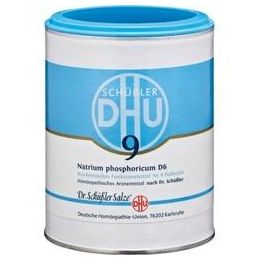 DHU-Arzneimittel DHU Schüssler-Salz Nr. 9 Natrium phosphoricum D 6