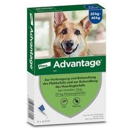 Advantage 400 Lösung Pipetten für Hunde ab 25 kg