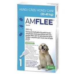 Amflee 268 mg Lösung zum Auftropfen für große Hunde 20-40kg