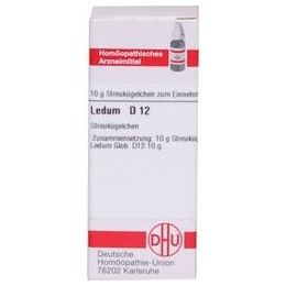DHU-Arzneimittel LEDUM D 12 Globuli