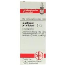 DHU-Arzneimittel EUPATORIUM PERFOLIATUM D 12 Globuli