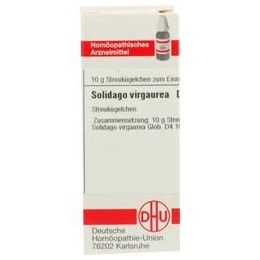 DHU-Arzneimittel SOLIDAGO VIRGAUREA D 4 Globuli