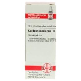 DHU-Arzneimittel CARDUUS MARIANUS D 12 Globuli