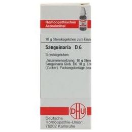 DHU-Arzneimittel SANGUINARIA D 6 Globuli