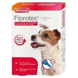 Fiprotec 67 mg Lösung zum Auftragen für kleine Hunde