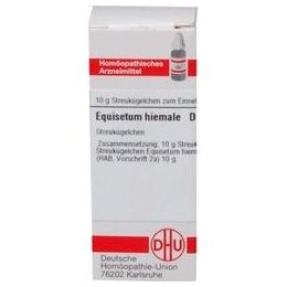 DHU-Arzneimittel EQUISETUM HIEMALE D 12 Globuli