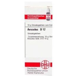 DHU-Arzneimittel AESCULUS D 12 Globuli