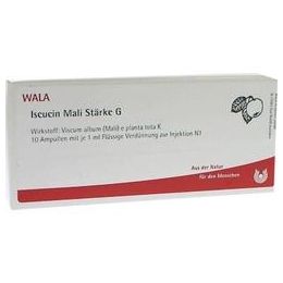 Dr. Hauschka WALA Iscucin Mali Stärke G Ampullen