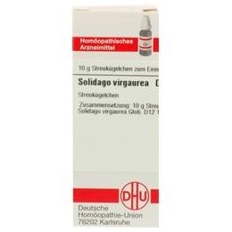DHU-Arzneimittel SOLIDAGO VIRGAUREA D 12 Globuli