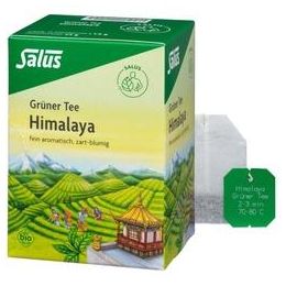 Grüner Tee Himalaya Bio Salus Filterbeutel