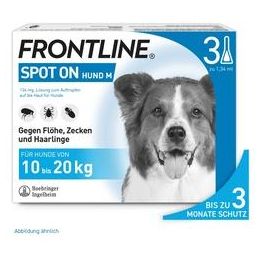 FRONTLINE SPOT-ON gegen Zecken, Flöhe und Haarlinge für Hunde M (10-20 kg)