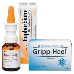 Gripp Heel Tabletten & Euphorbium comp SN Spray Set