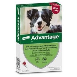 Advantage 250 Lösung für Hunde 10-25 kg