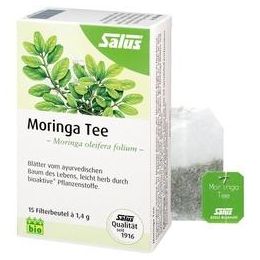 Moringa Tee Bio Moringa Oleifera Folium Salus Fbtl
